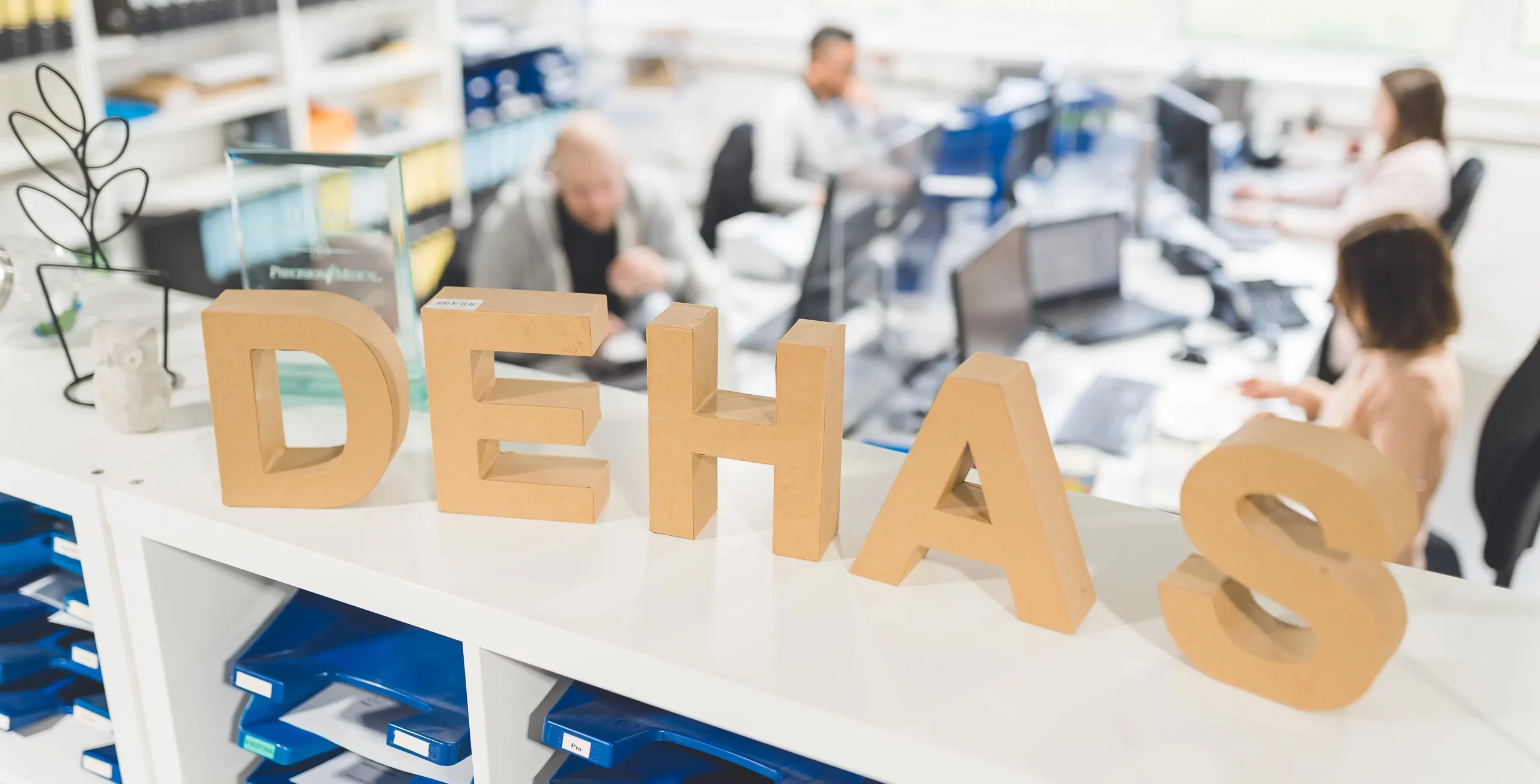 Dehas Medical Systems GmbH Lübeck | Medical Technology